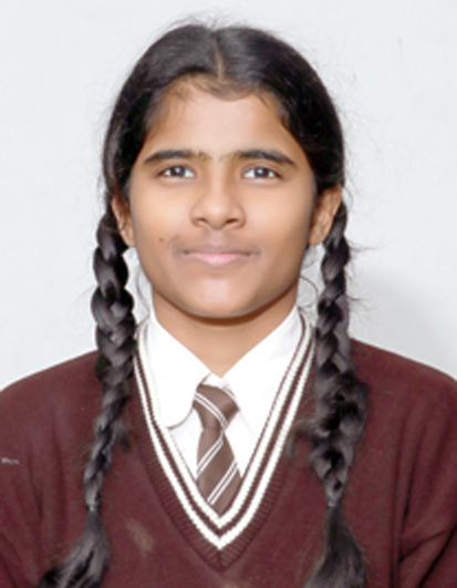 Academic :: Shishu Niketan Model Sr. Sec. School