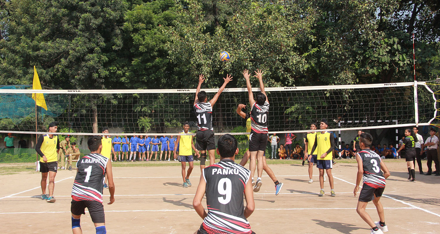 Shishu Niketan Model Sr. Sec. School: Best CBSE School in Chandigarh